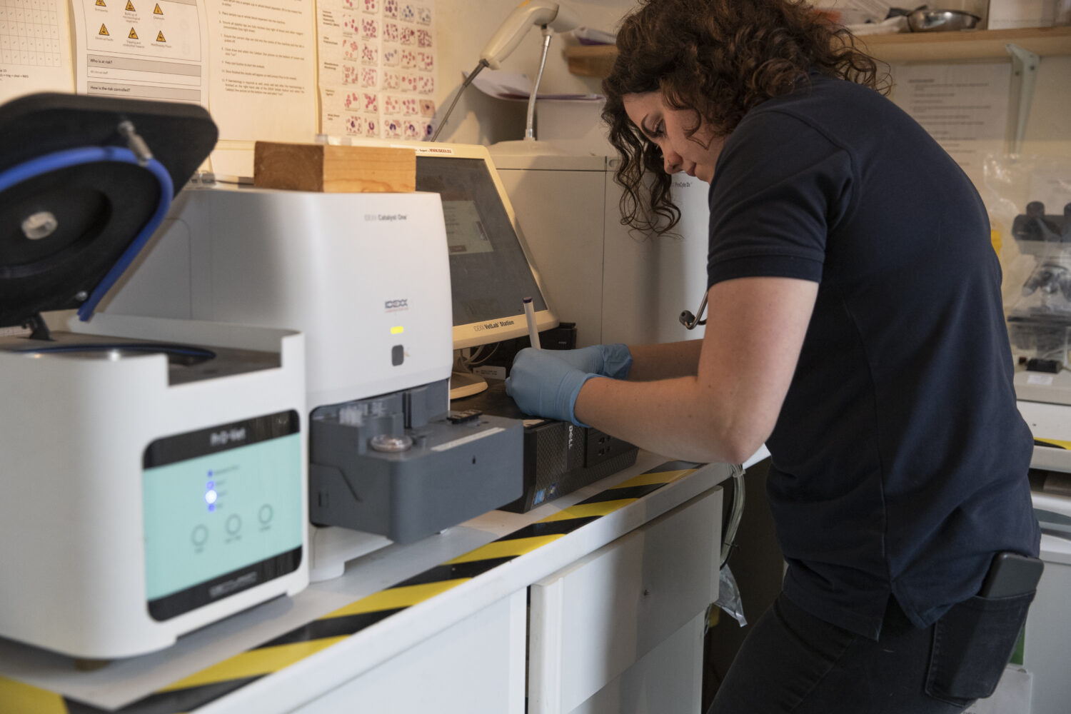 Lab Work - Coach House Vets