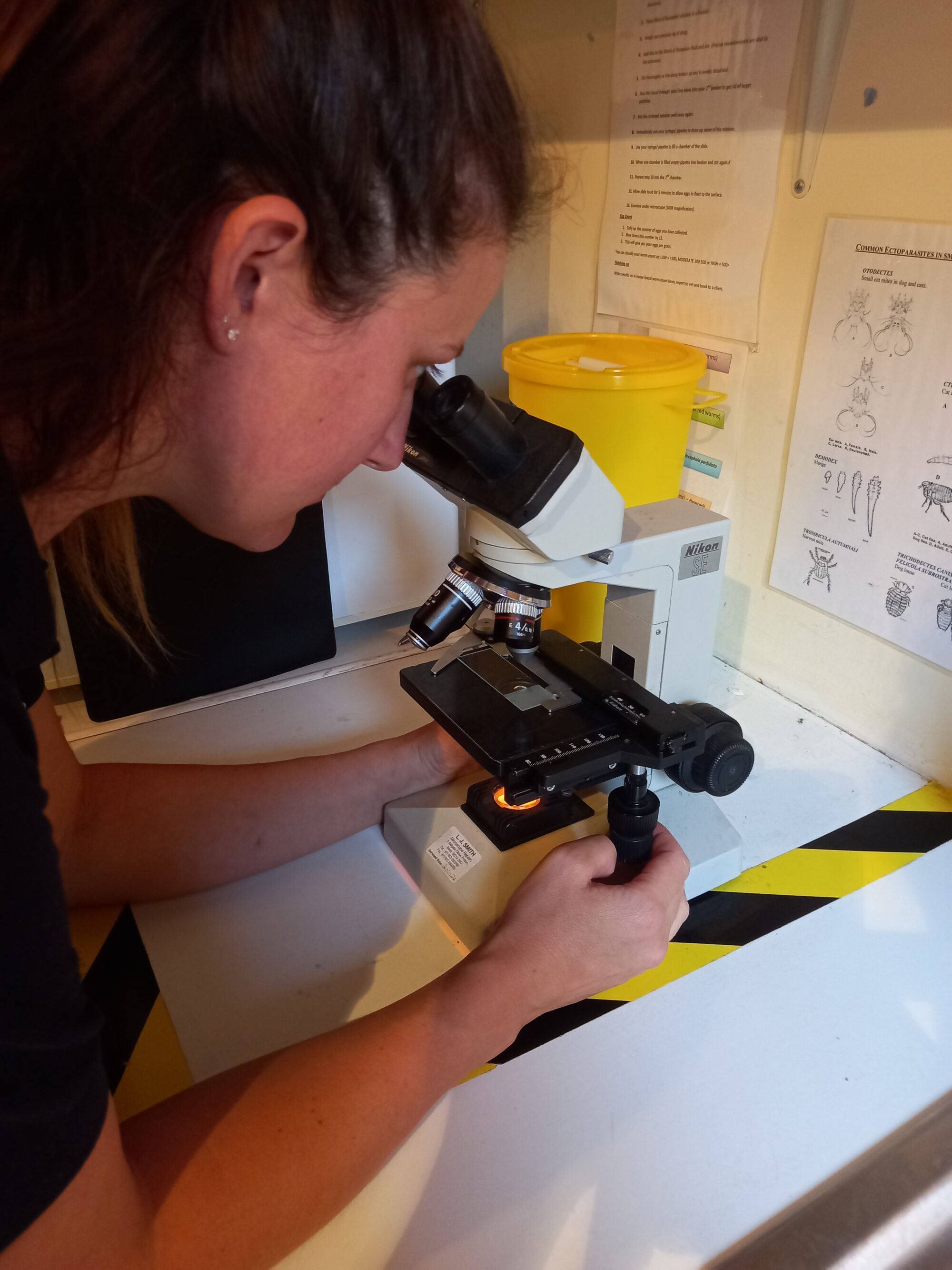 microscope - Coach House Vets