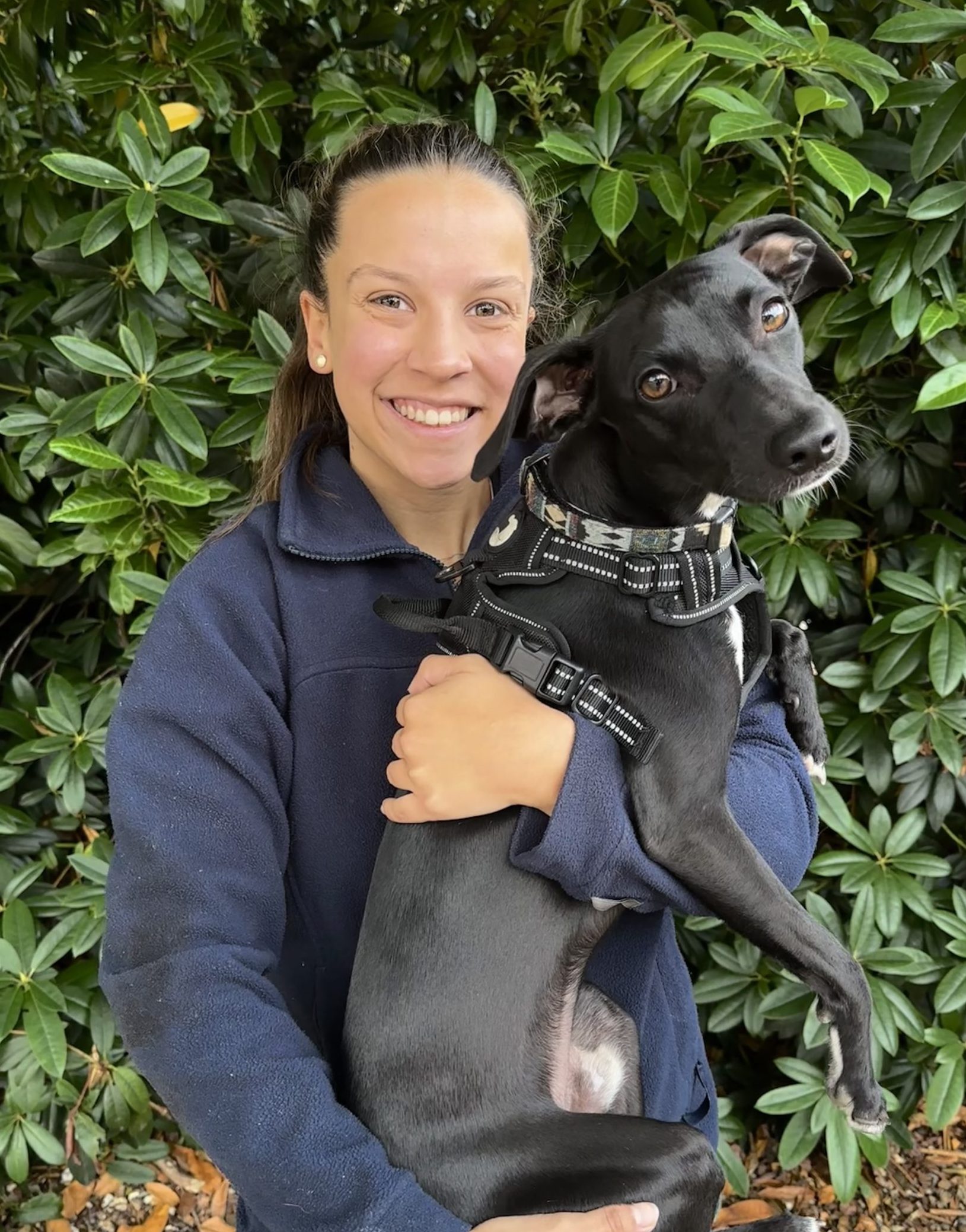 Nina - Coach House Vets